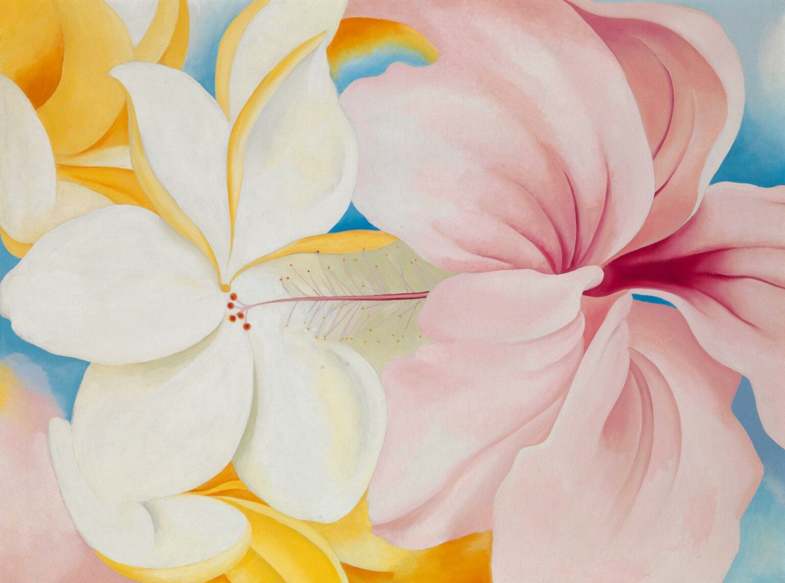 Las flores de Georgia O'Keeffe - Historia Hoy