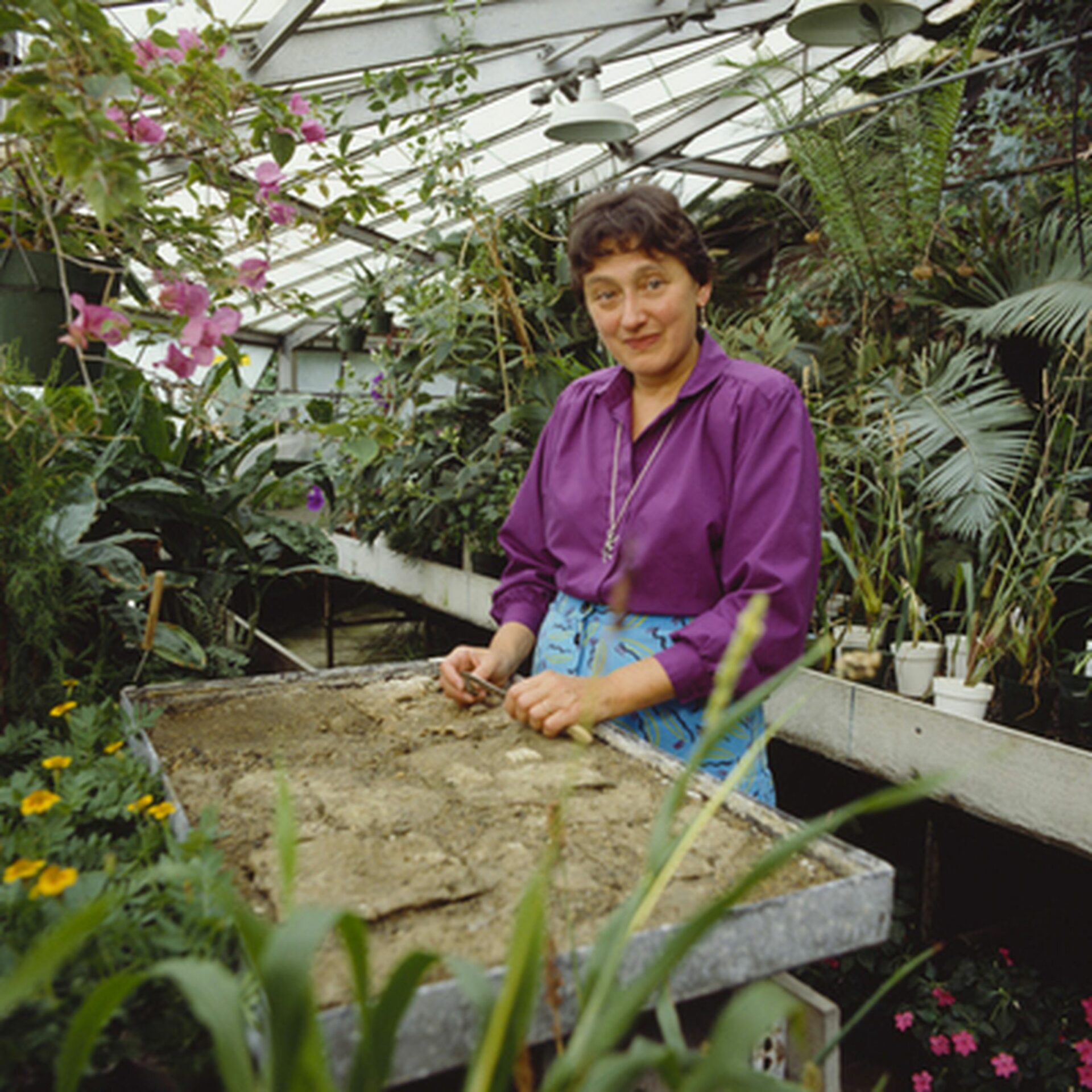 Lynn Margulis: la Eva de la simbiosis original - Historia Hoy