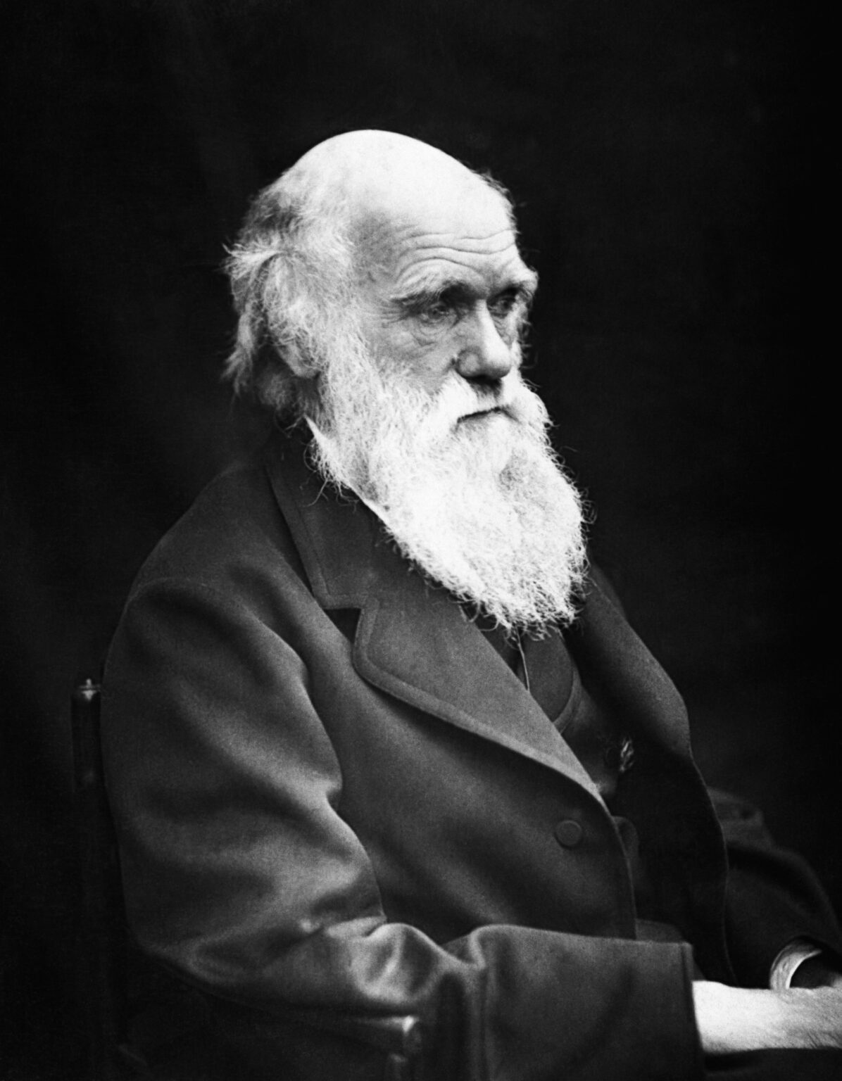 Charles Darwin, el origen de la especies y los problemas de descender ...